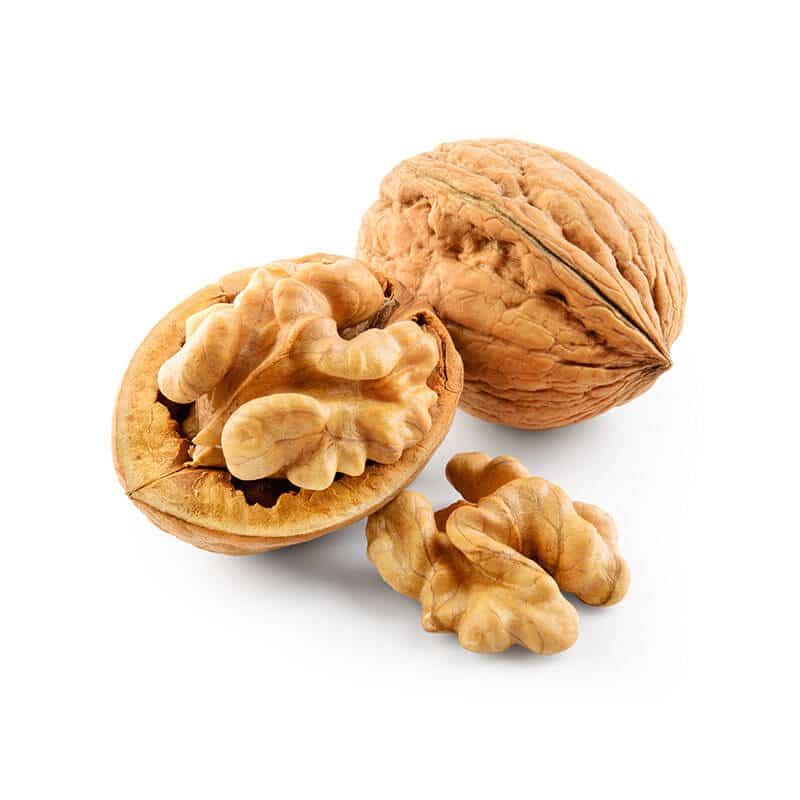 Nuez con Cáscara 34/36 - Jega Food - Snack & Pellet Manufacturer