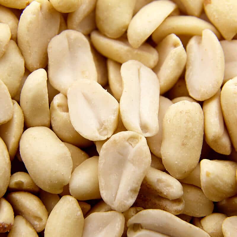 Productos - Jega Food - Snack & Pellet Manufacturer